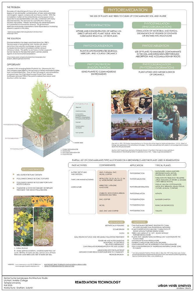 Phytoremediation Design